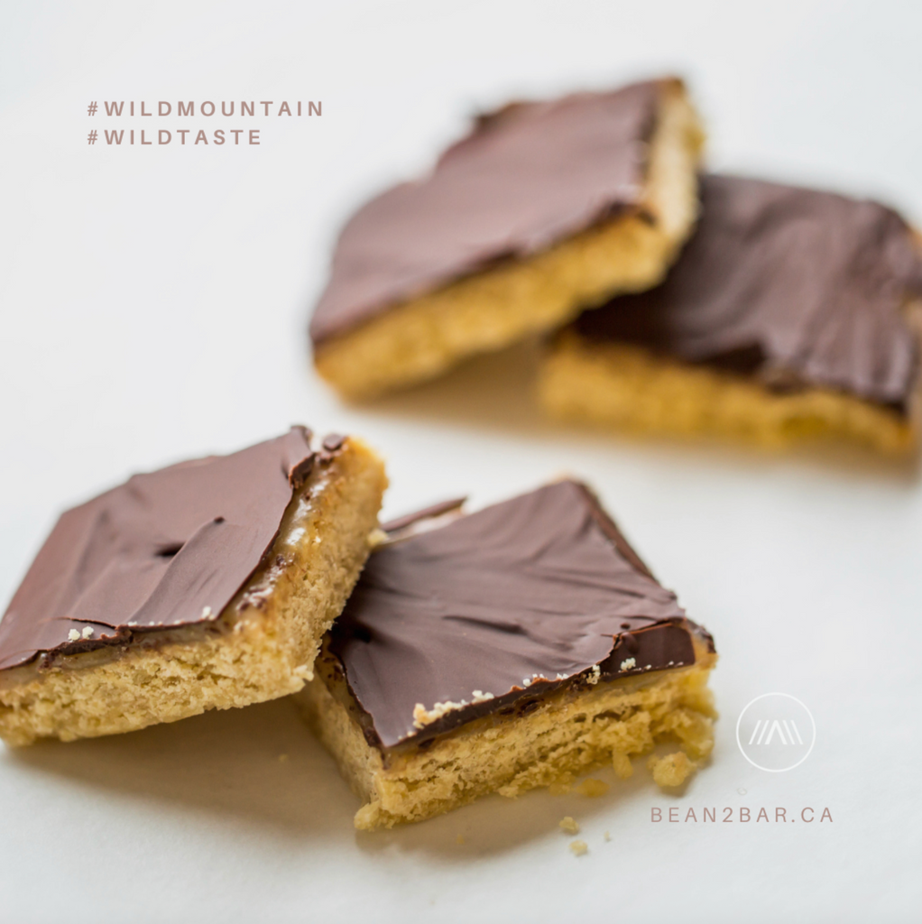 Vegan Twix Bar – Wild Mountain Chocolate Ltd.